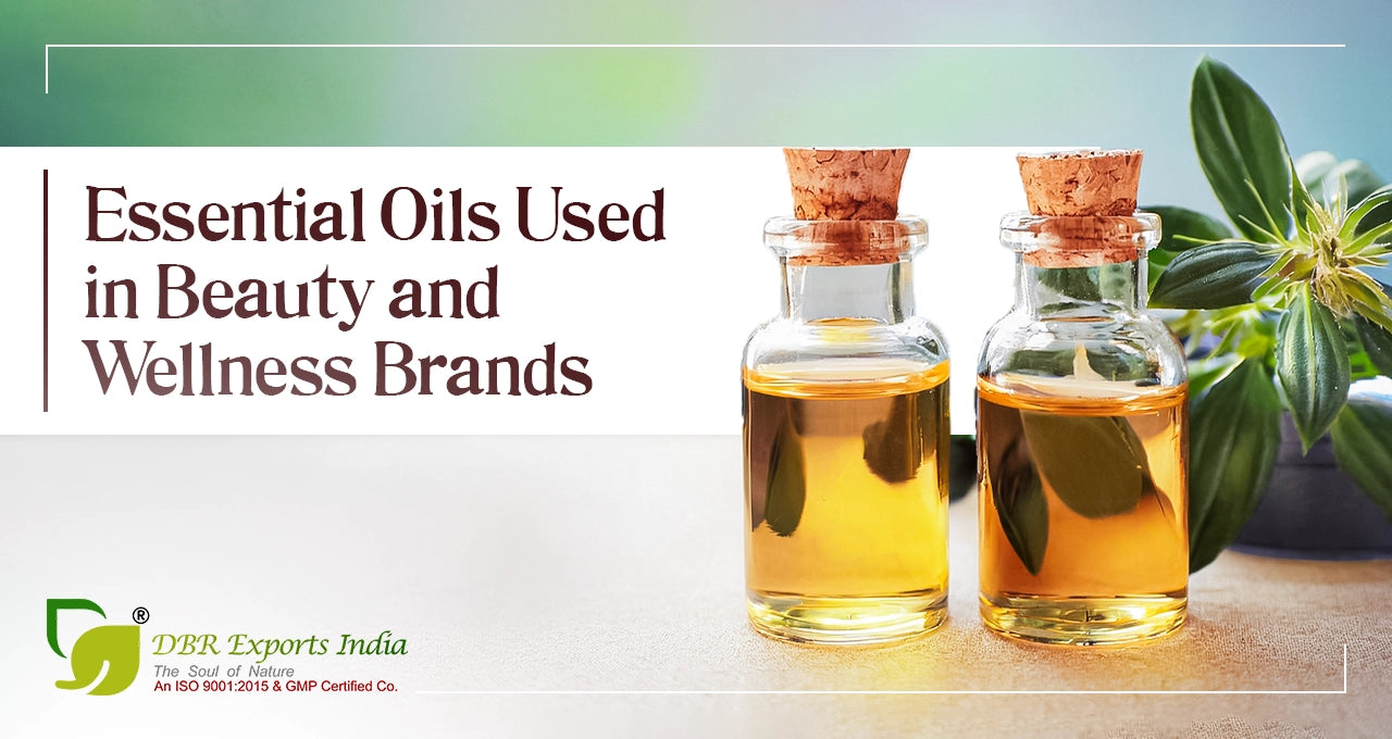 What Is the Best Place to Buy Essential Oils | DBR Exports India