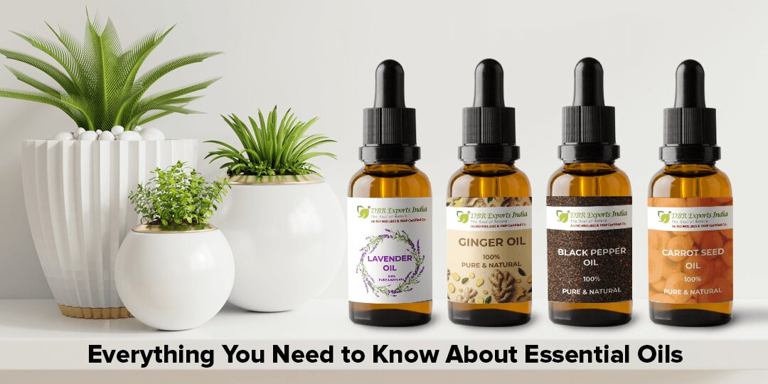 Everything You Need to Know About Essential Oils – DBR Exports India