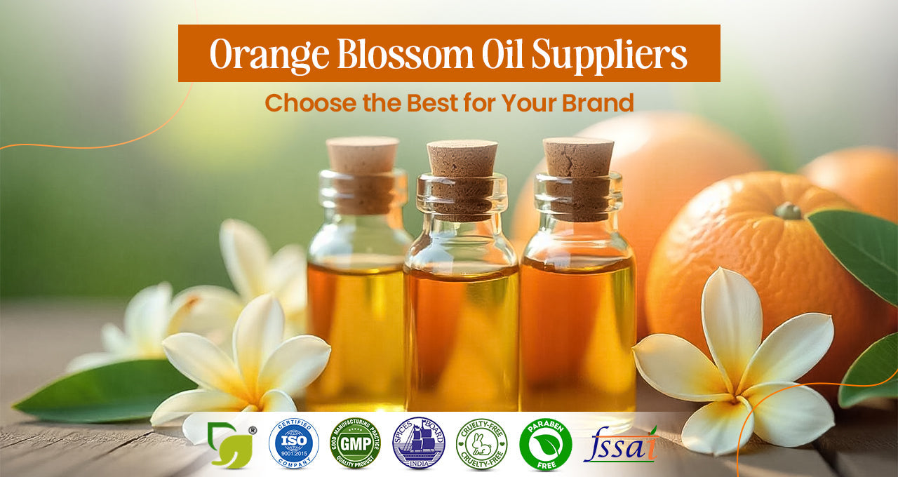 Orange Blossom Oil Suppliers: Choose the Best for Your Brand – DBR ...