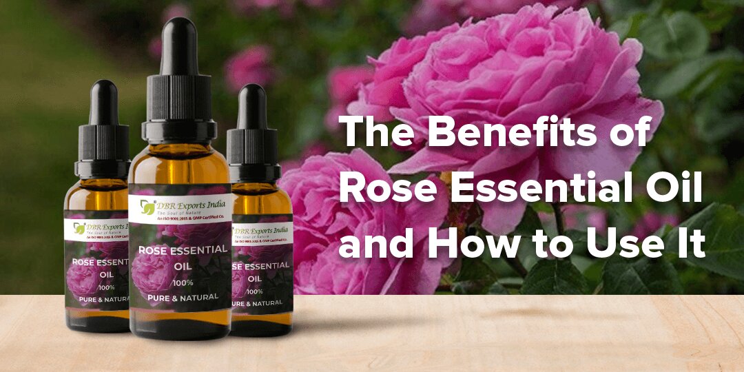 The Benefits of Rose Essential Oil and How to Use It – DBR Exports India