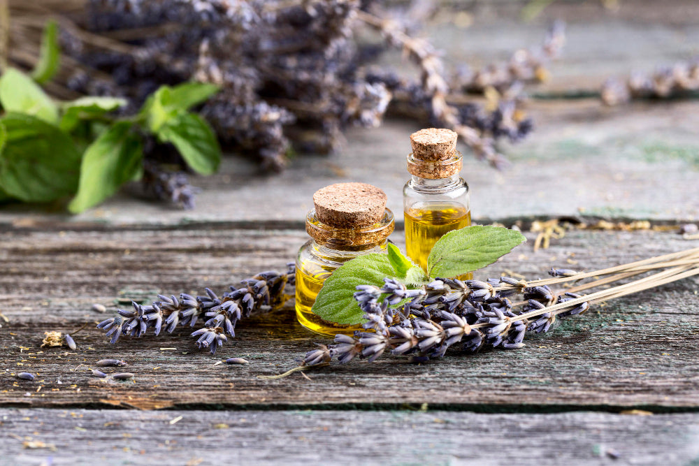 Unlocking the Power of Lavender Oil: A Guide to its Benefits and Uses ...