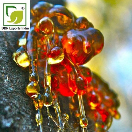 Amber Resinoid - Great Fixative for Aromatic Compound – DBR Exports India